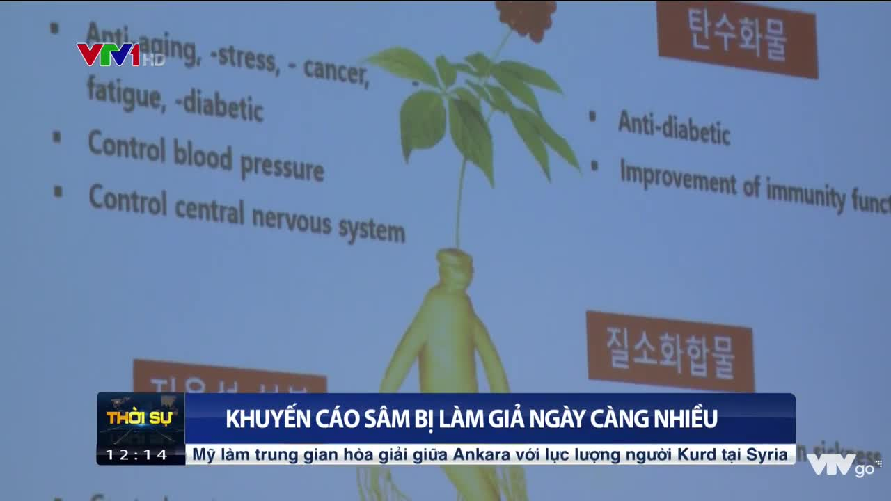 Phân biệt nhân sâm Hàn Quốc thật - giả